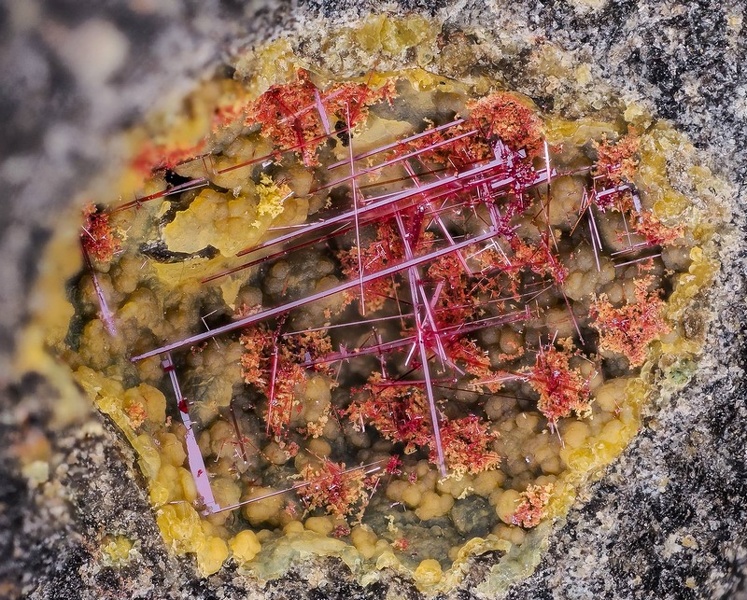 Chalcotrichite (cuprite) - Olmet et Villecun - Hérault